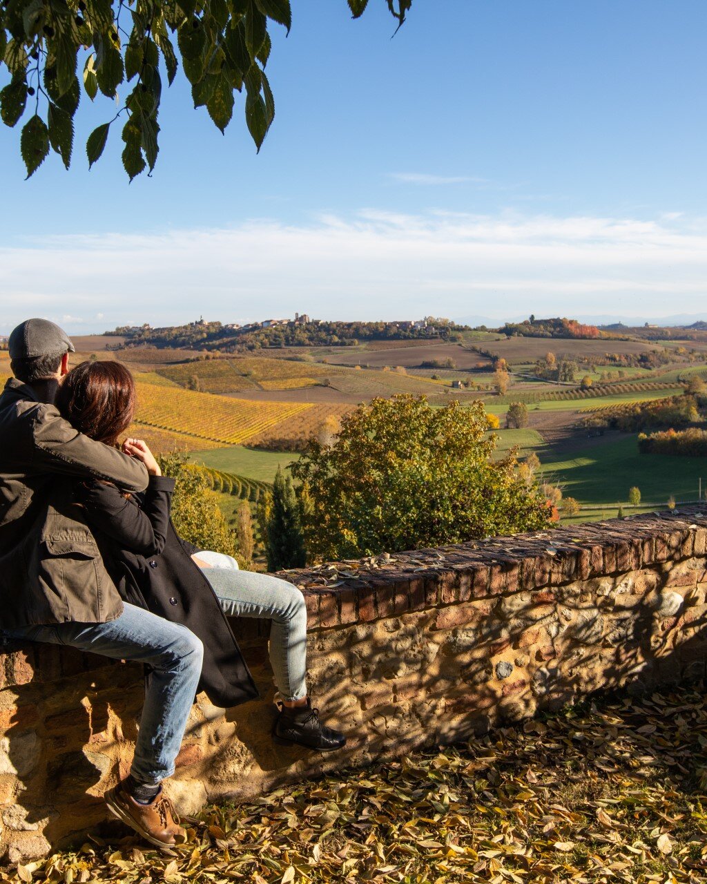 Langhe Monferrato Roero Tourism Board - Official website