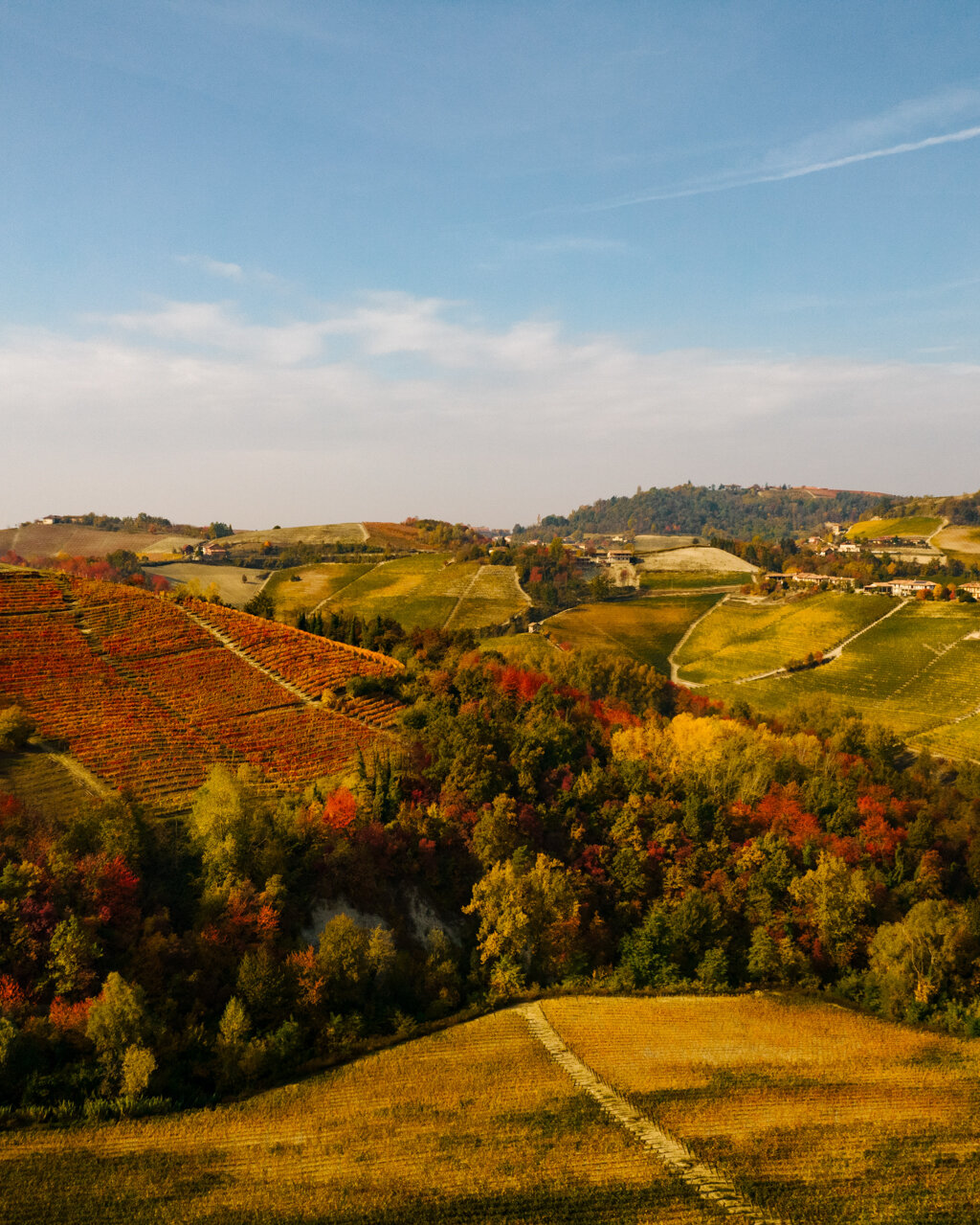 Sehenswertes und Aktivitäten in Alba im Piemont