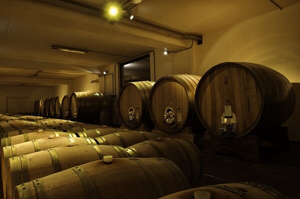 Servizi al turista - Josetta Saffirio - Langhe