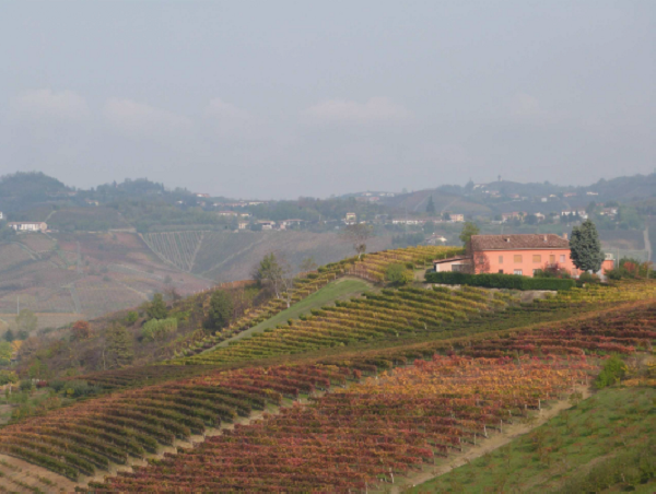 Service for tourists - La Moresca - Monferrato