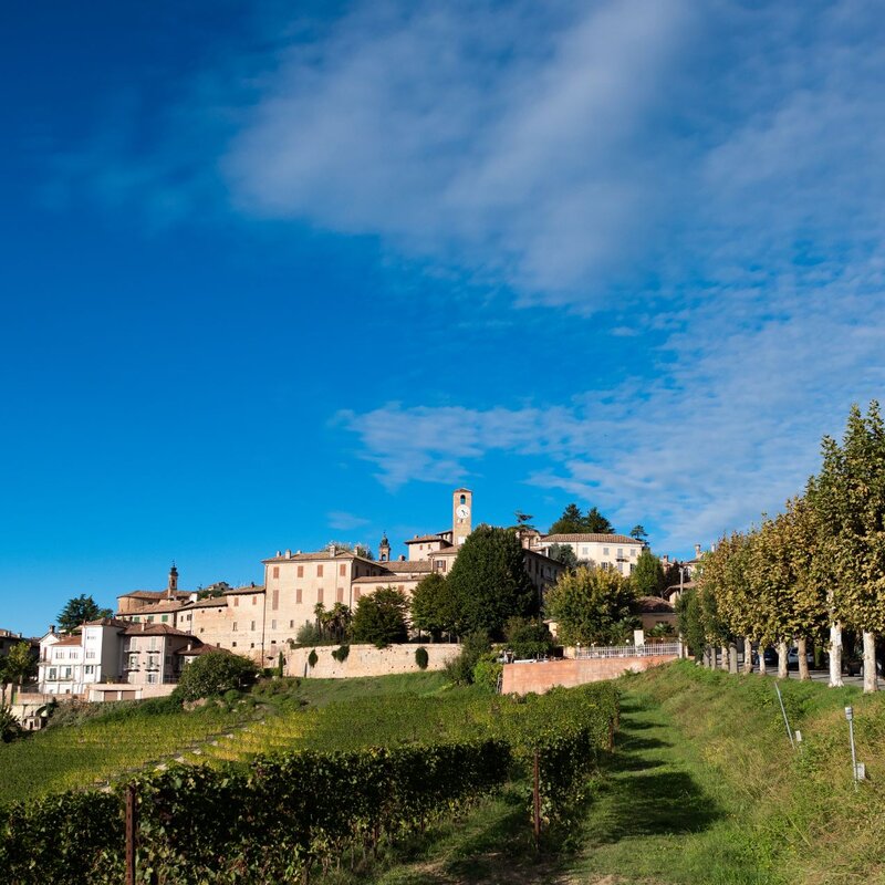 Neive andata e ritorno un percorso per vivere le Langhe