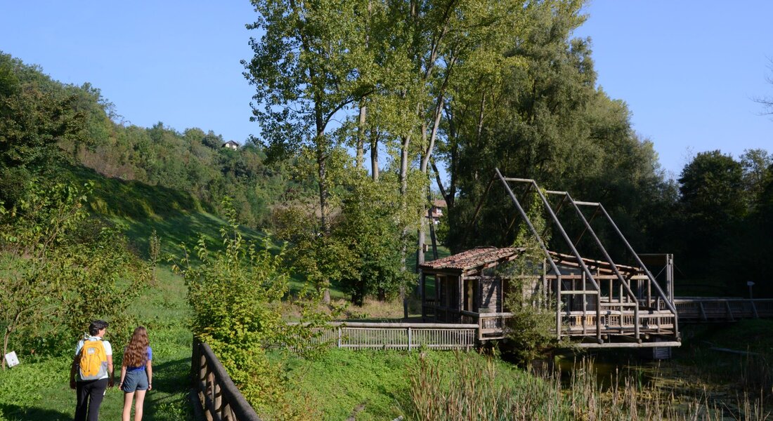 Itinerario - COCCONATO, Parco Forestale dell’Alberone - Monferrato