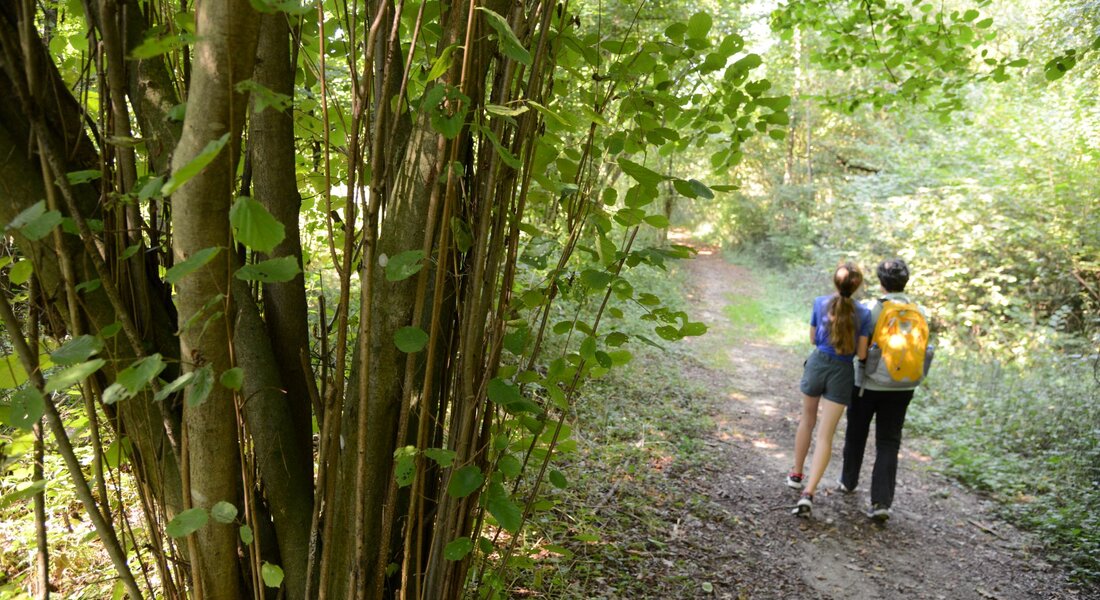 Route - Rocchetta Tanaro - Monferrato