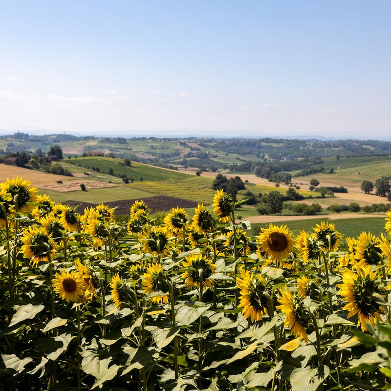 Itinerary - Cammini delle Alte Colline Ombrose e delle Colline Chiare (The