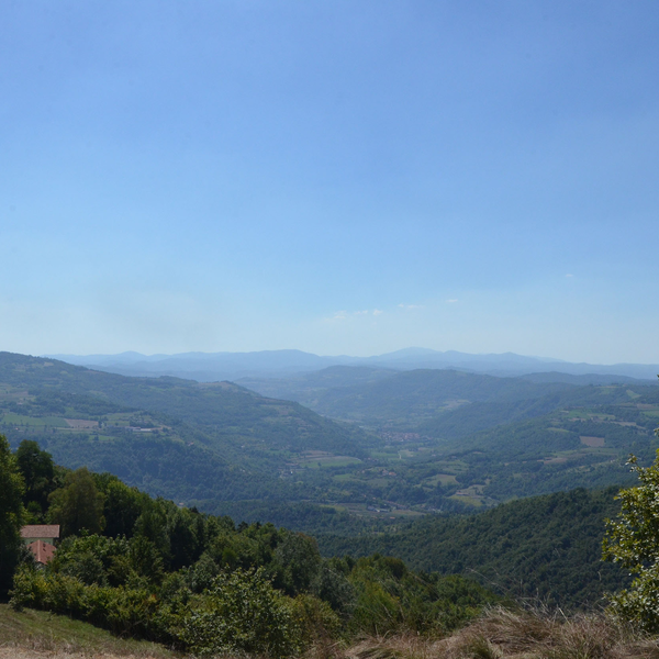 Itinerario - Bar to Bar - Barbaresco - Barolo - Langhe