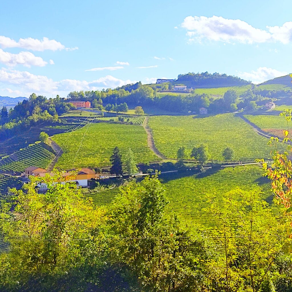 Accomodation - Farmhouse - VILLA CREVIOLO - Monferrato