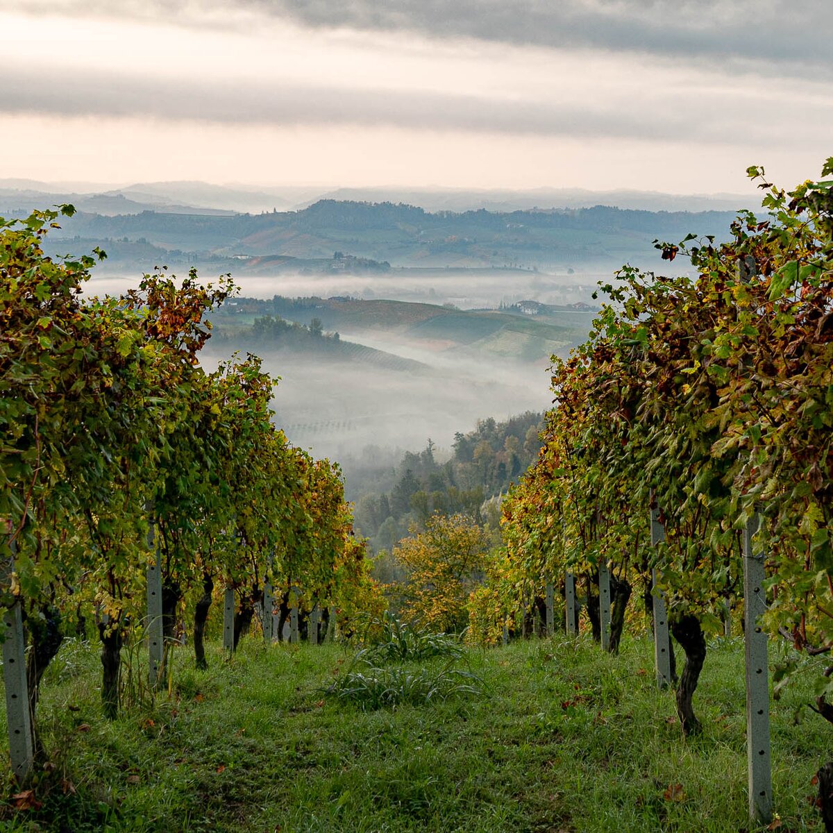 The Langhe,the lower Piedmont rich in history and traditions