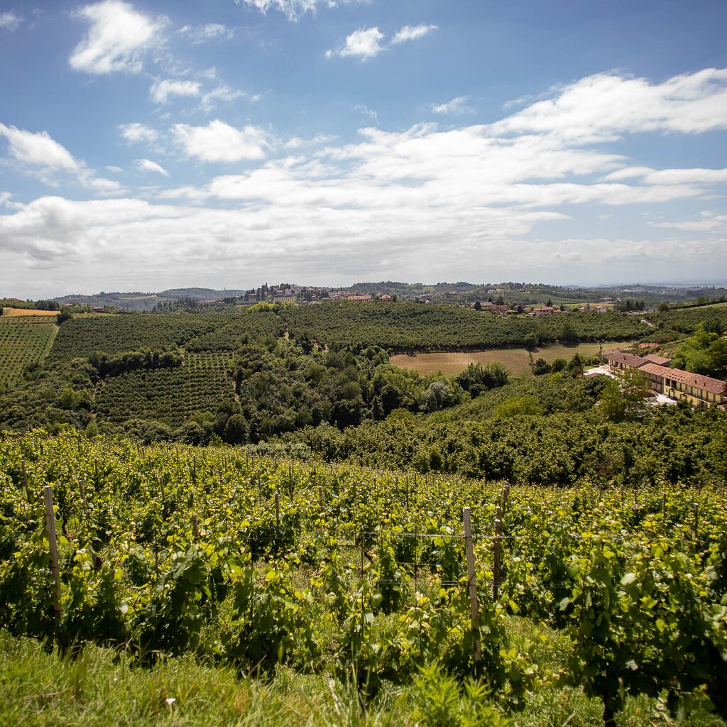 Experiences - Ape Calesse Tour - Langhe