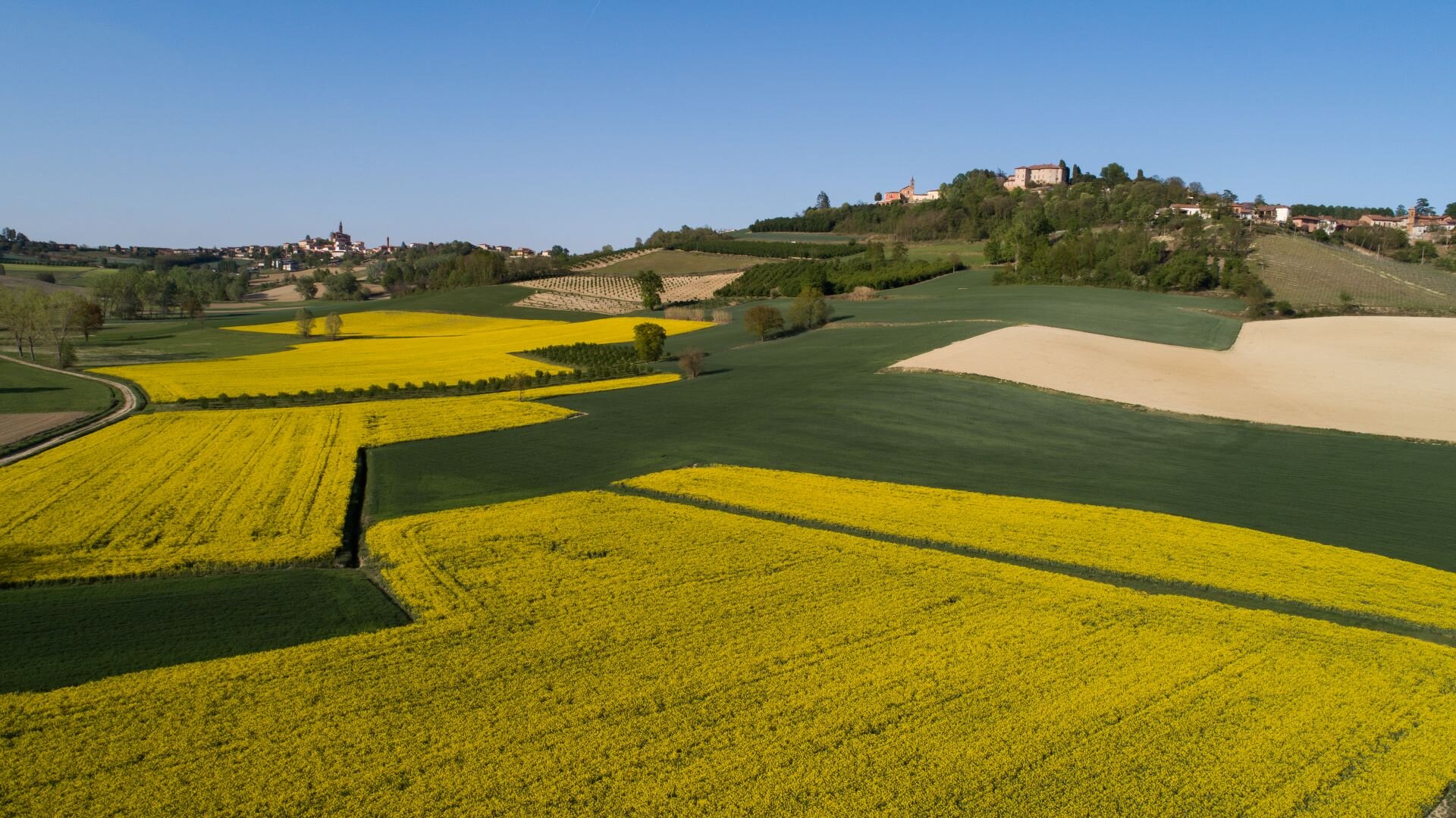 Monferrato: the Piedmont of wine and culture