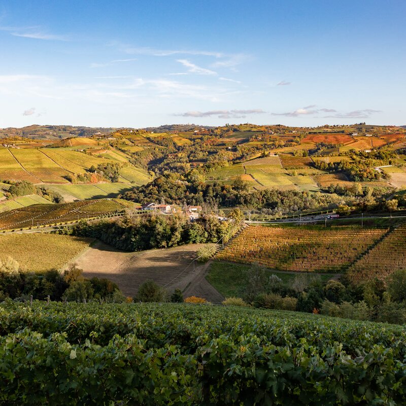 Monferrato - Landscape itineraries in Piedmont
