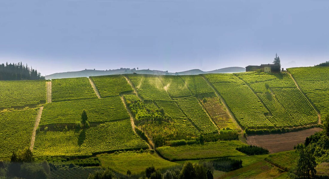 Itinerary - WineTour 3 – The crus at the edge of the Rocche’s area - Roer