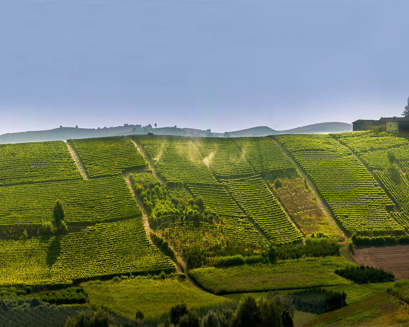 Itinerary - WineTour 3 – The crus at the edge of the Rocche’s area - Roer