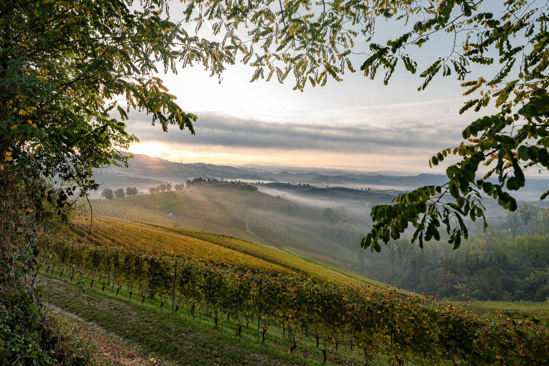 Les Langhe, le bas Piémont riche d’histoire et de traditions